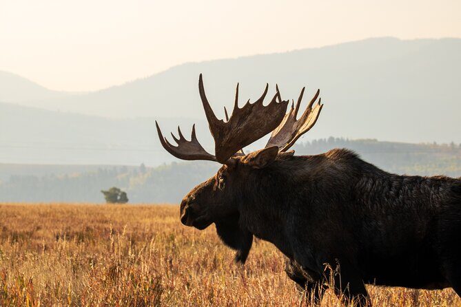 Grand Teton Full Day Private Tour - Mormon Row Historic District