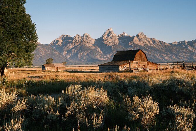 Grand Teton Half Day Private Bike Tour - What do travelers say?