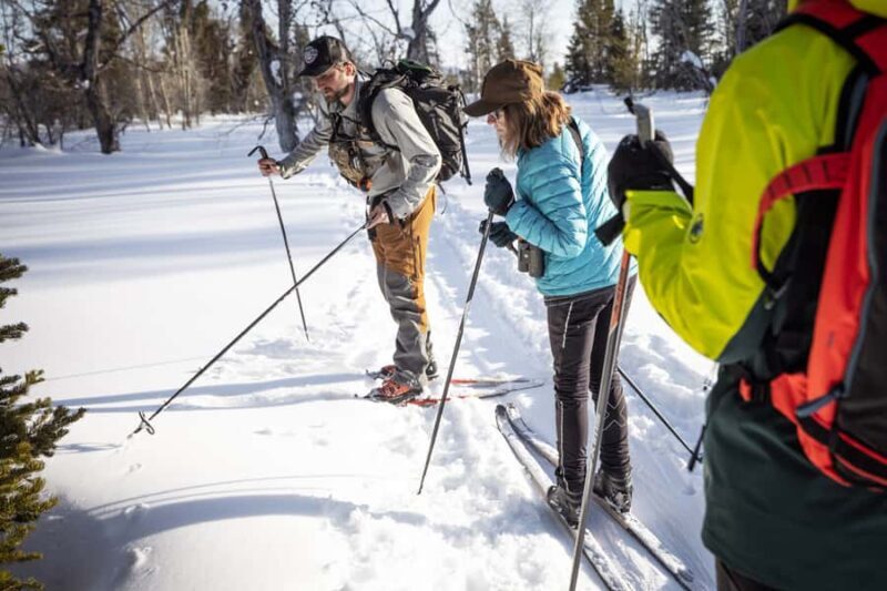 Grand Teton National Park: 4-Hour Beginner Cross-Country Ski - Authentic Experiences Highlighted by Reviews