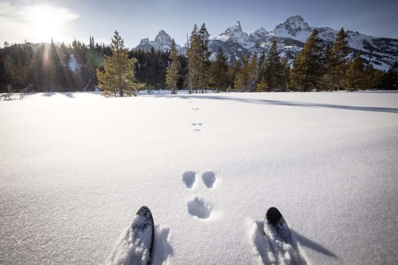 Grand Teton National Park: 4-Hour Beginner Cross-Country Ski - Who Should Consider This Tour?