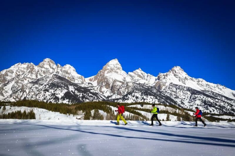 Grand Teton National Park: 4-Hour Beginner Cross-Country Ski - Final Thoughts