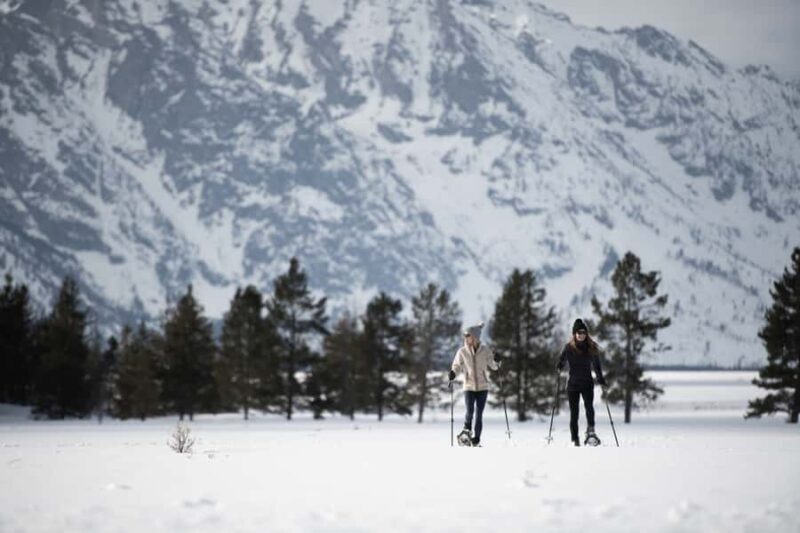 Grand Teton National Park: 4-Hour Easy Snowshoeing Tour - The Itinerary in Detail