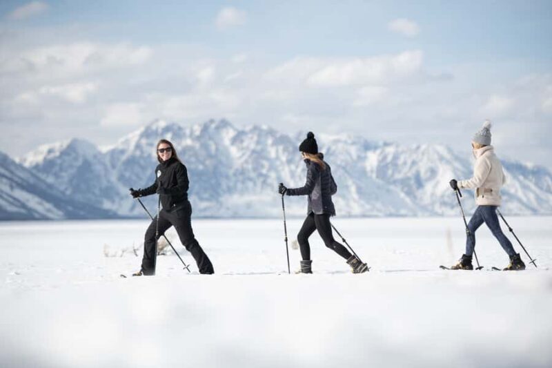 Grand Teton National Park: 8-Hour Willdlife & Snowshoe Tour - The Sum Up: Is It Worth It?
