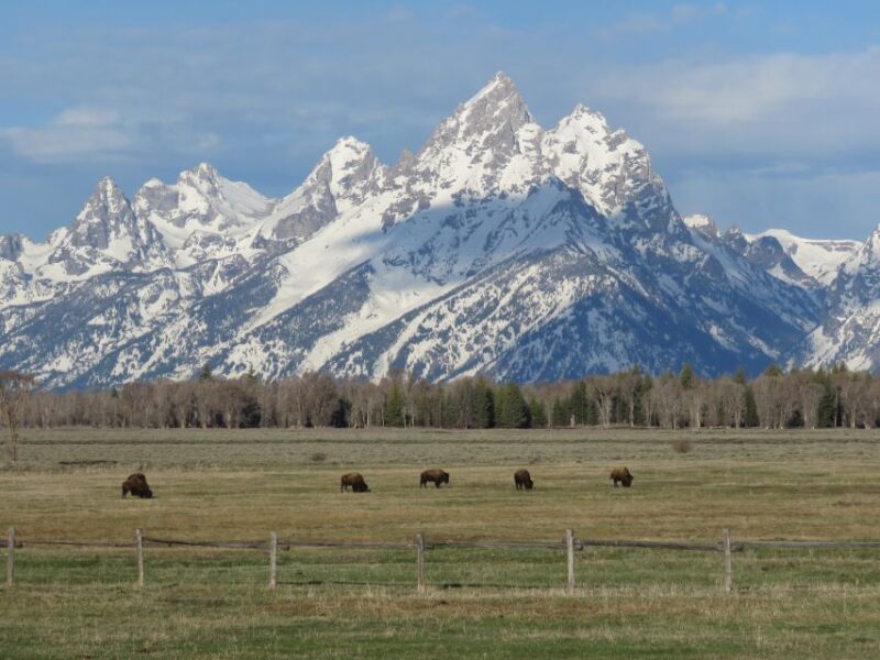 Grand Teton National Park: Full-Day Tour with Boat Ride - Wrapping It Up