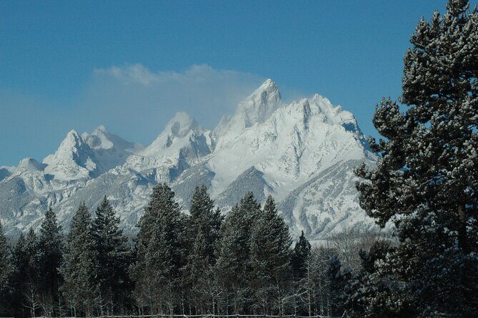 Grand Teton National Park Private Sunrise Tour - Who Should Consider This Tour?