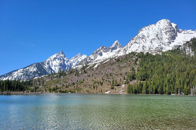 Grand Teton National Park Private Wildlife Safari - Dawn/Dusk - A Deep Dive into the Experience