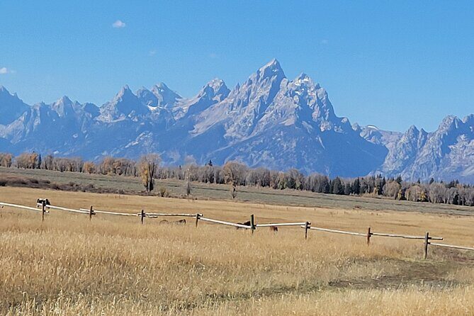 Grand Teton National Park Private Wildlife Safari - Dawn/Dusk - Who Would Benefit Most?