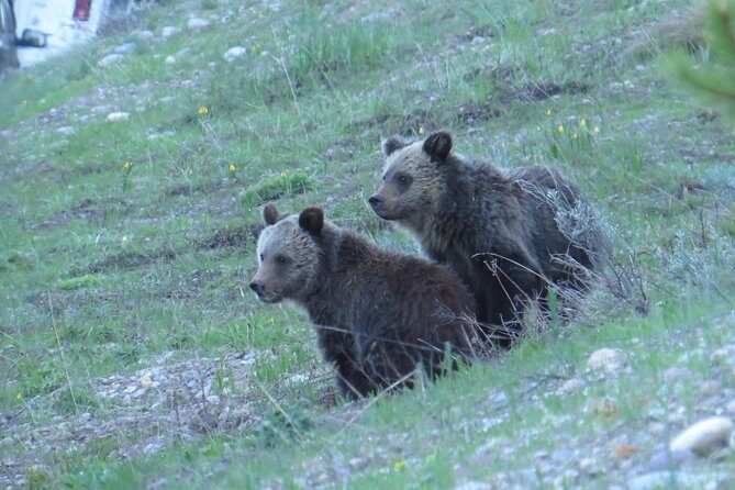 Grand Teton National Park - Sunrise Tour from Jackson Hole - In-Depth Breakdown of the Itinerary