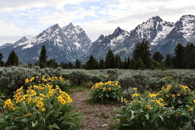 Grand Teton National Park Tour - Exploring the Grand Teton National Park Tour