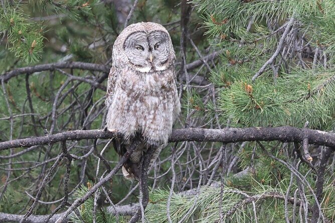 Grand Teton National Park Tour - FAQ