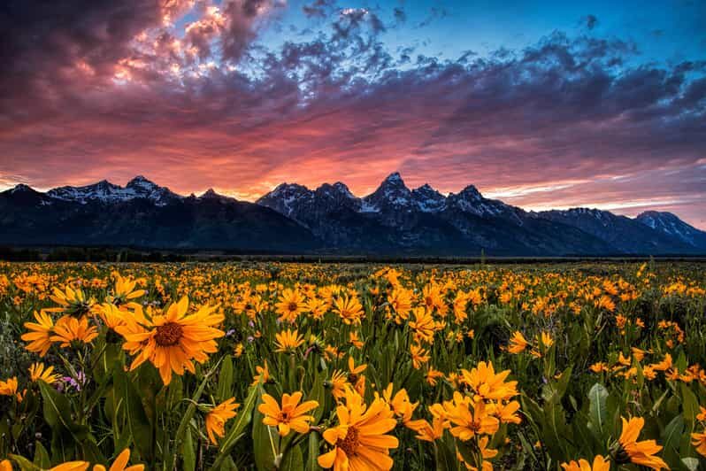 Grand Teton: Private Guided Tour (Sunset) - Detailed Breakdown of the Itinerary