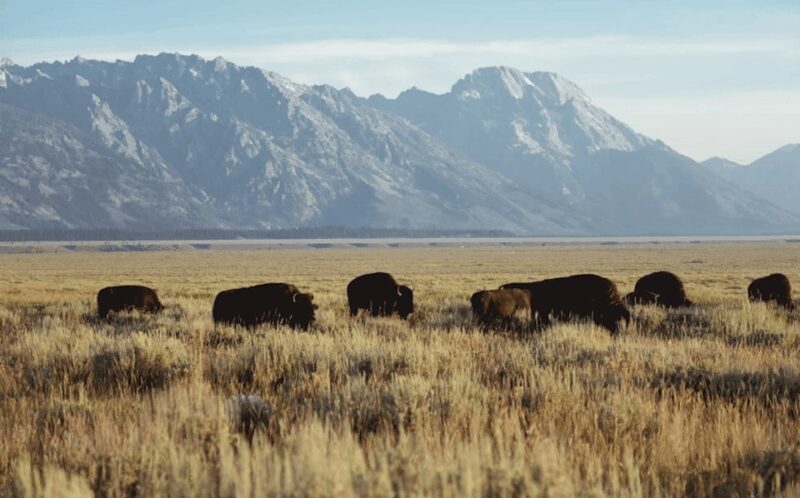 Grand Teton: Private Guided Tour (Sunset) - Who Will Love This Tour?
