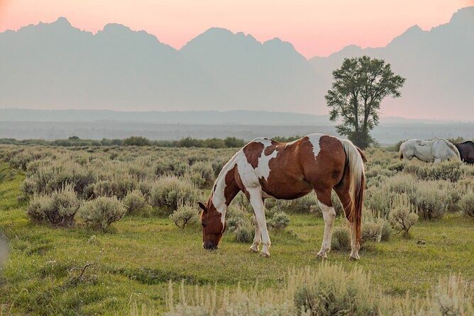 Grand Teton: Private Sunset Tour - FAQs