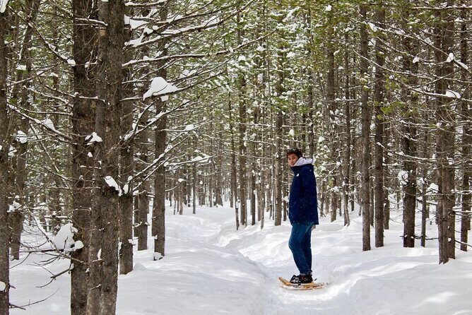 Grand Teton Private Winter Tour - The Practicalities: What’s Included & Why It Matters