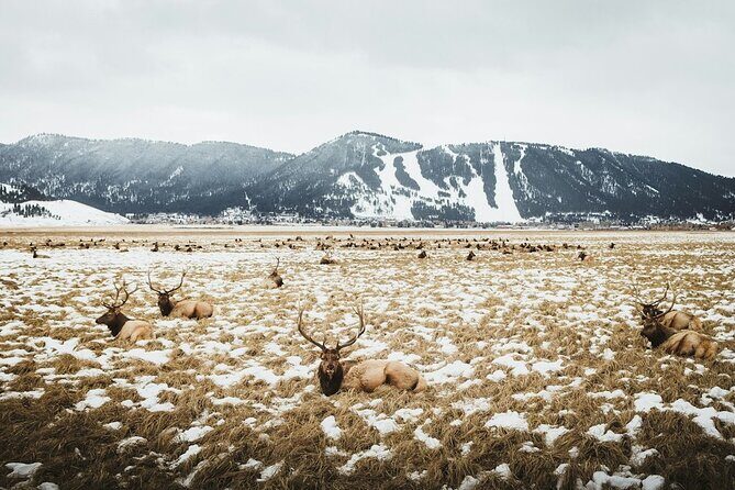 Grand Teton Private Winter Tour - Frequently Asked Questions