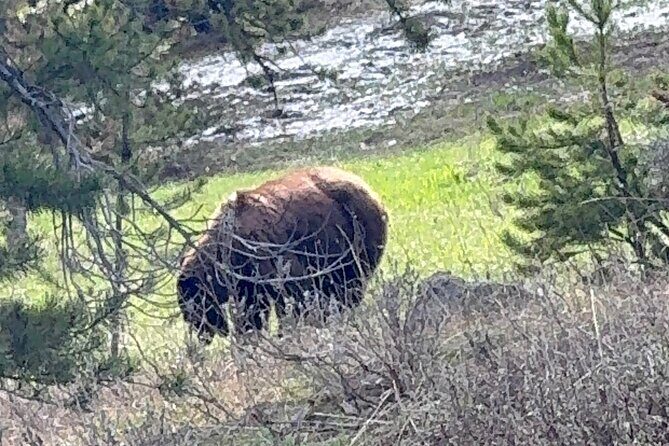 Grand Teton Sunrise Scenic Tour - The Price: Is It Worth It?