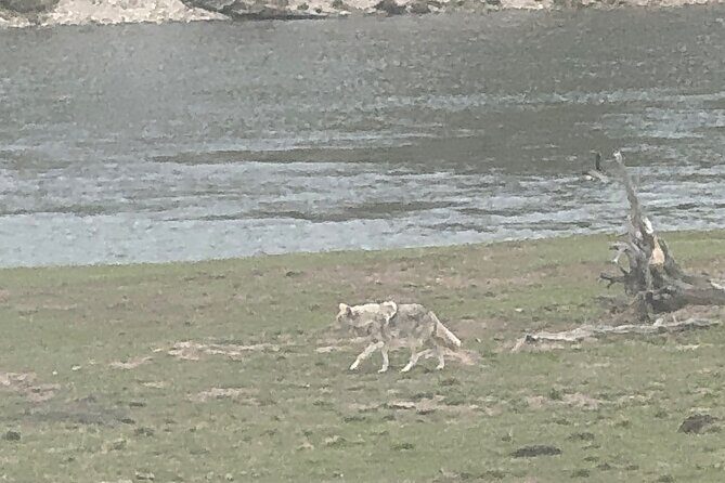 Grand Teton Sunrise Scenic Tour - FAQ