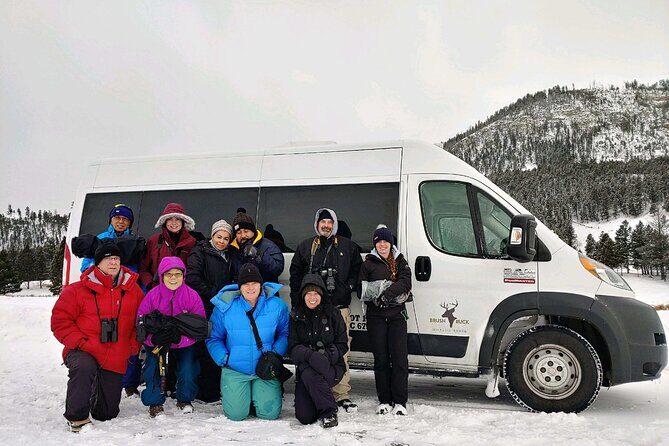 Grand Teton Wildlife Safari in a Enclosed or Open-Air Vehicle (season dependent) - The Itinerary: What to Expect