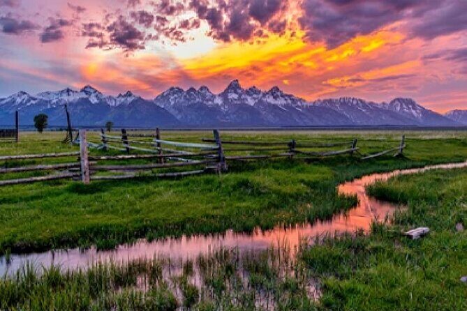 Grand Teton Wildlife Safari in a Enclosed or Open-Air Vehicle (season dependent) - Pricing and Value