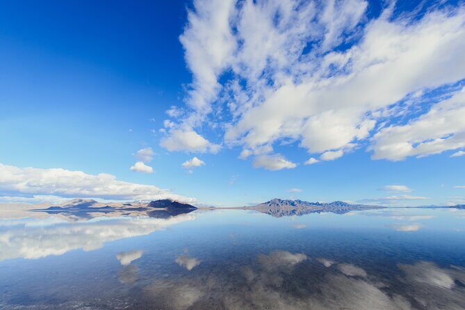 Grand Teton, Yellowstone, Devils Tower and Mount Rushmore 7-day Tour - Who Will Love This Tour?