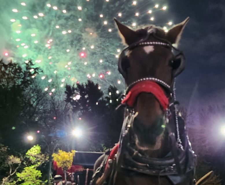 Grand Tour: Central Park, Rockefeller Center & Times Square - Price and Value