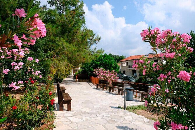 Grand Tour Full Day Jeep Safari from Paphos - An Honest Look at the Grand Tour Full-Day Jeep Safari from Paphos