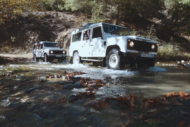 Grand Tour Full Day Jeep Safari from Paphos - Authentic Experiences and Local Flavor
