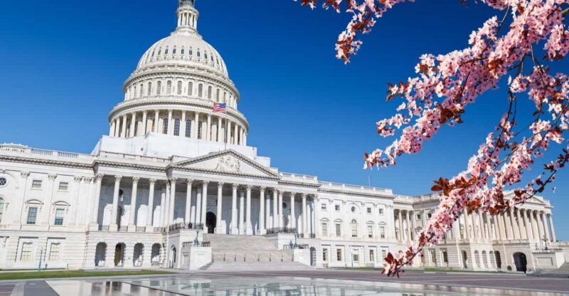 Grand Tour Of Washington DC - A Closer Look at the Tour Experience