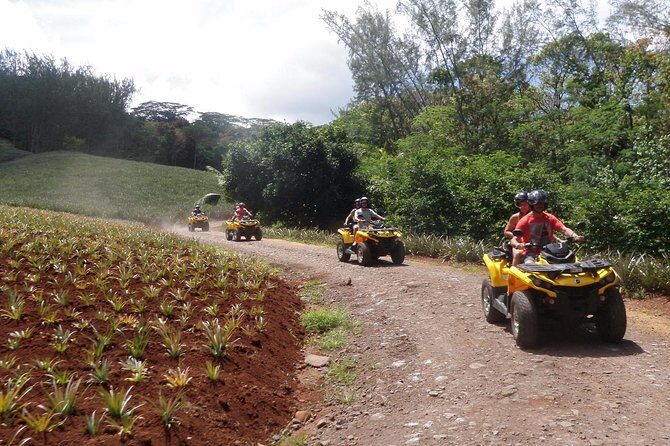 Grand Tour Quad Excursion in Moorea (Single or Two-Seater) - Final Thoughts