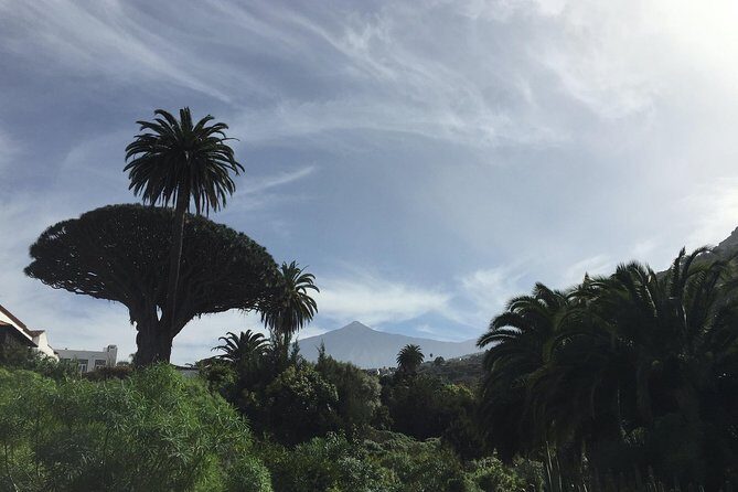 Grand Tour Tenerife - Full-Day Private VIP Tour - An Introduction to the Tenerife VIP Tour