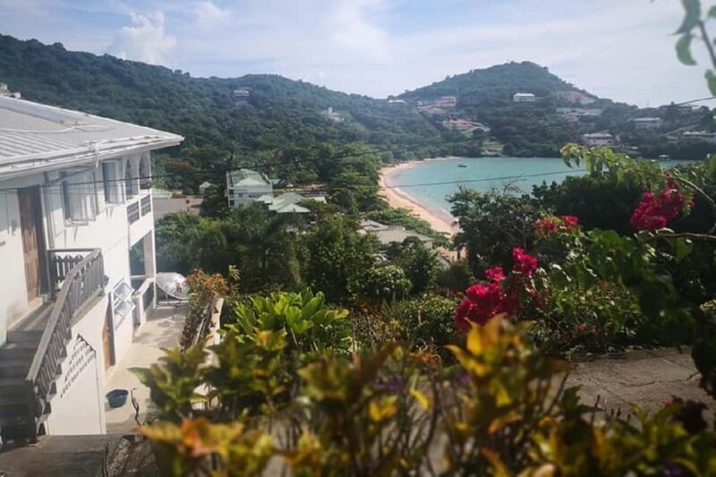 Grand Tours Grenada Call the Boss Taxi Luxurious Island Tour - What Travelers Say