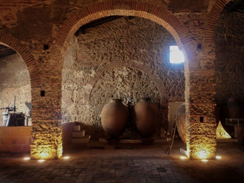 Grande Prova Honrado Vineyards - An Introduction to the Experience