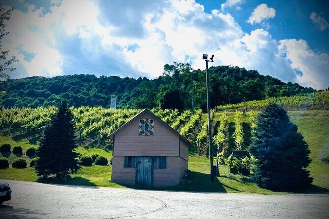 Grandfather Mountain Private Wine & Dine Tour from Asheville - Who Is This Tour Best For?