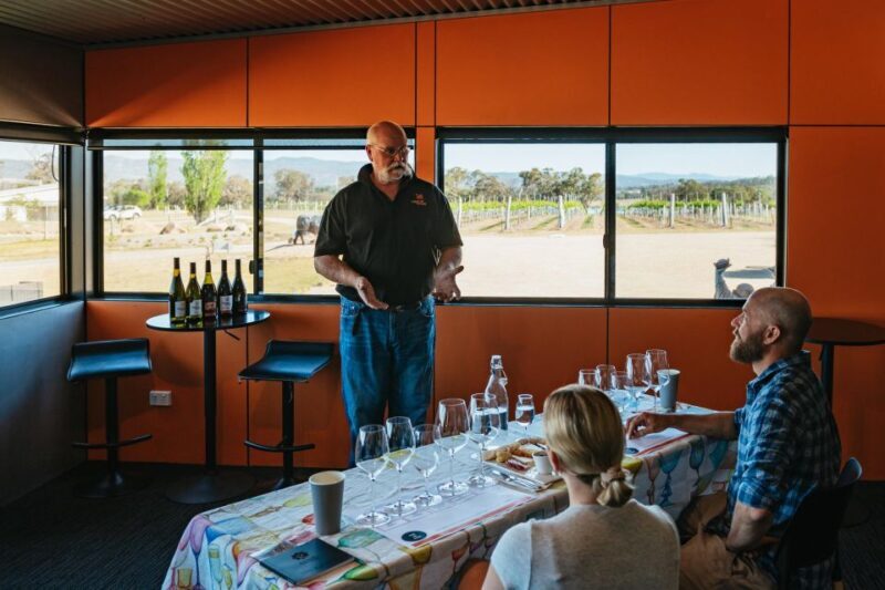 Granite Belt: Winemakers Winetasting Experience & Cheese - The Authentic Charm of the Cellar Door Setting
