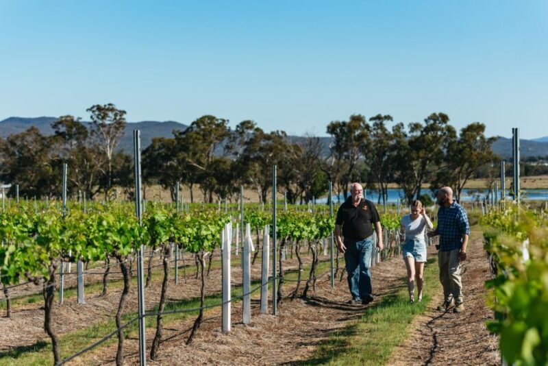 Granite Belt: Winemakers Winetasting Experience & Cheese - Mini-Vineyard Tour and Additional Details