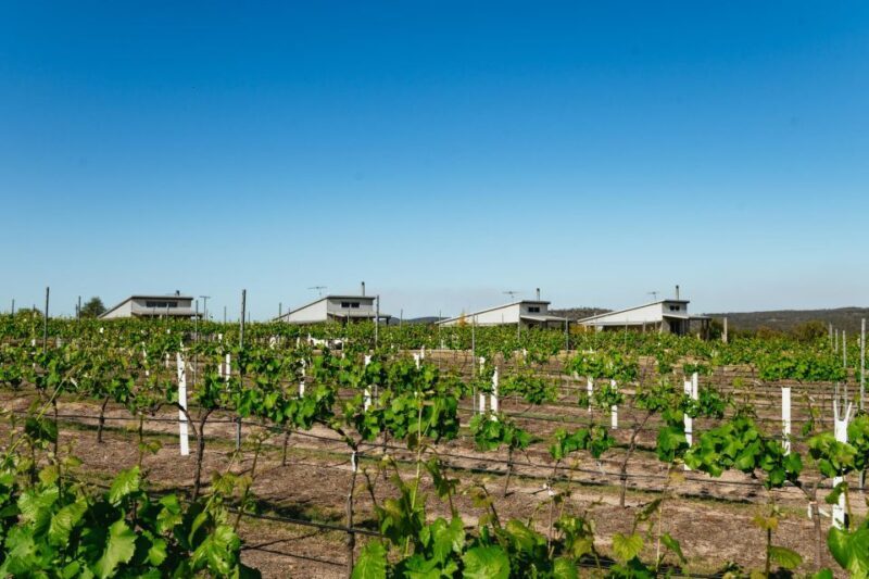 Granite Belt: Winemakers Winetasting Experience & Cheese - The Value of the Experience