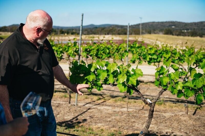 Granite Belt: Winemakers Winetasting Experience & Cheese - Who Should Book This Tour?
