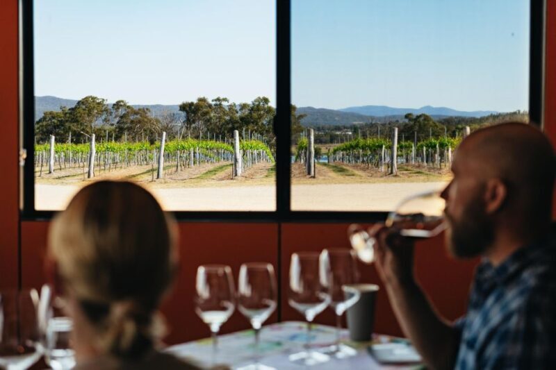 Granite Belt: Winemakers Winetasting Experience & Cheese - Final Thoughts
