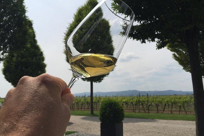Grape Day out Pfalz to taste cracking Red wines & Riesling - Practical Details and Logistics