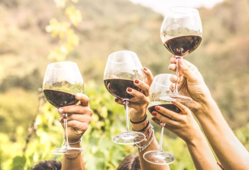 Grape Escapes Full-Day Wine Tour in Ithaca - An In-Depth Look at the Grape Escapes Full-Day Wine Tour