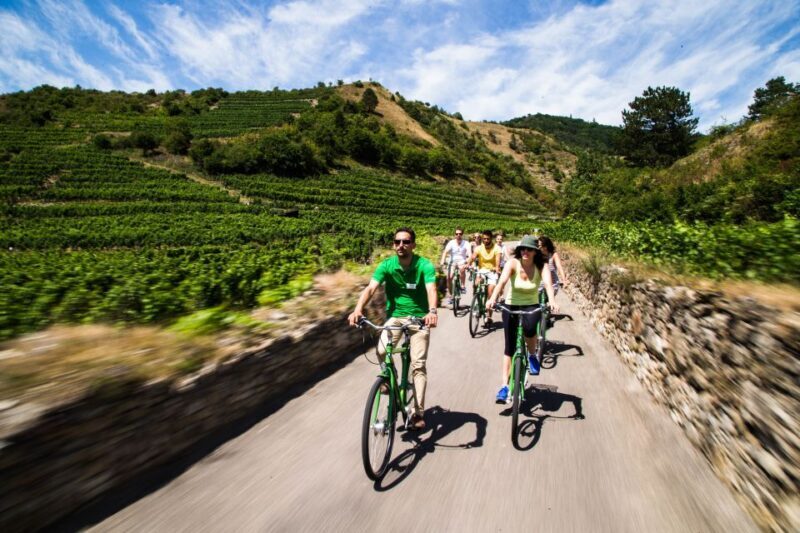 Grape Grazing: Wachau Valley Winery Biking Tour - An Invitation to Explore Austria’s Most Picturesque Region