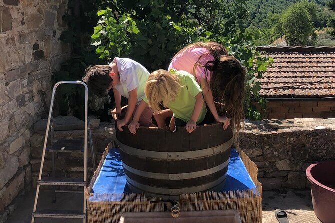 Grape Stomping Experience and Wine Tasting - Key Points