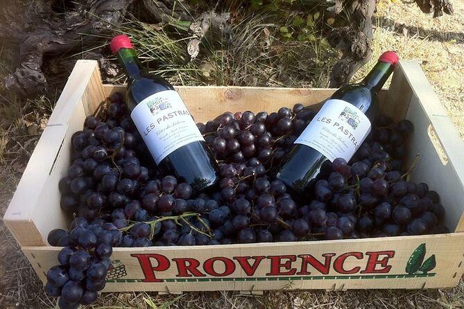 Grape Stomping in Provence - A Detailed Look at the Grape Stomping Experience