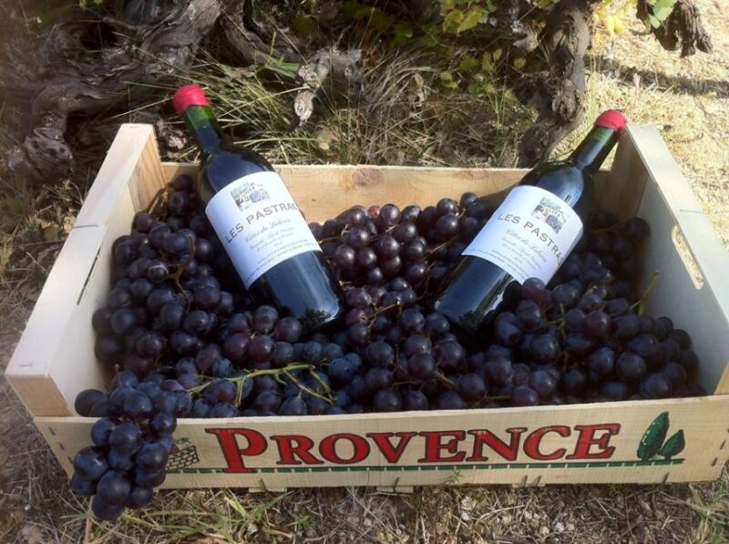 Grape Stomping in Provence - The Sum Up