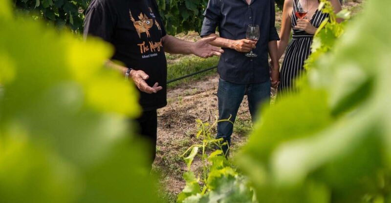 Grape to Glass Master Class - Who Will Benefit Most from This Experience?