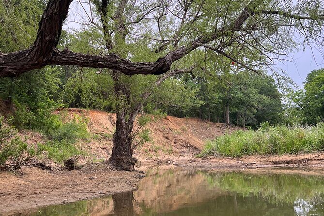 Grapevine Lake Kayak Eco Tour - Practical Tips for Booking and Participating