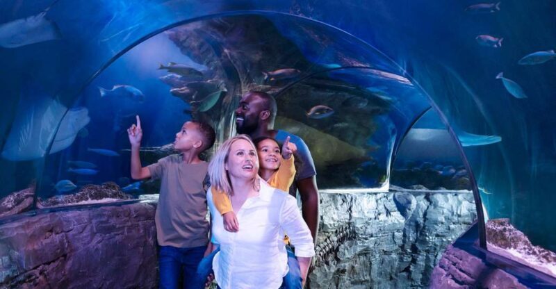 Grapevine: SEA LIFE Grapevine Aquarium General Admission - The Practical Aspects