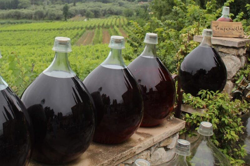 Grasse, Valbonne & Gourdon: Day Tour with Wine Tasting - Who Will Enjoy This Tour?