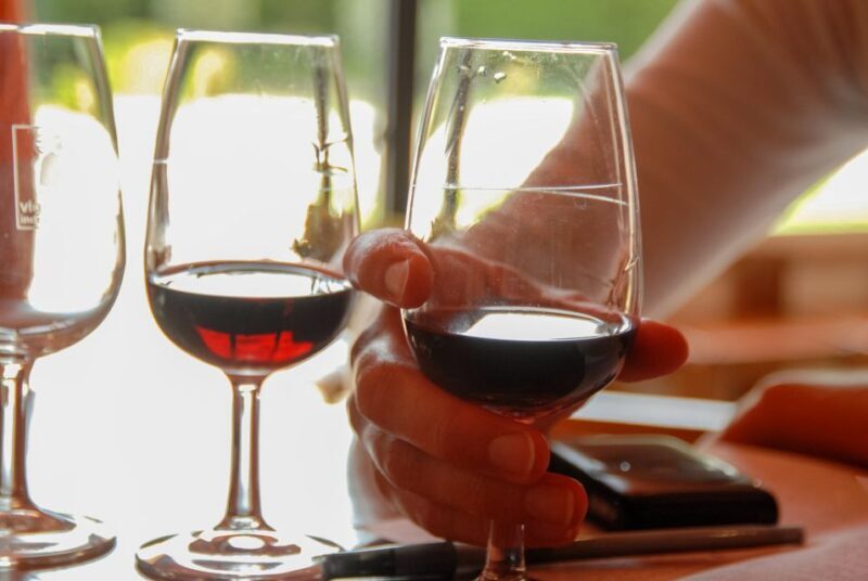 Grasse, Valbonne & Gourdon: Day Tour with Wine Tasting - Final Thoughts: Who Should Book This Tour?