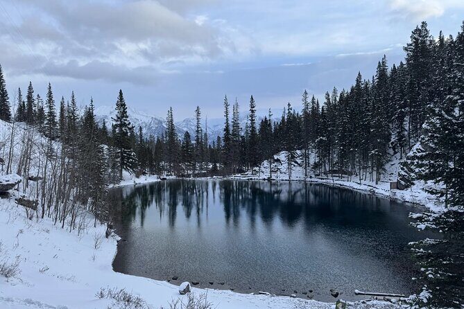Grassi Lake and Grotto Canyon Small Group Half-Day Tour in Banff - An In-Depth Look at the Tour Experience
